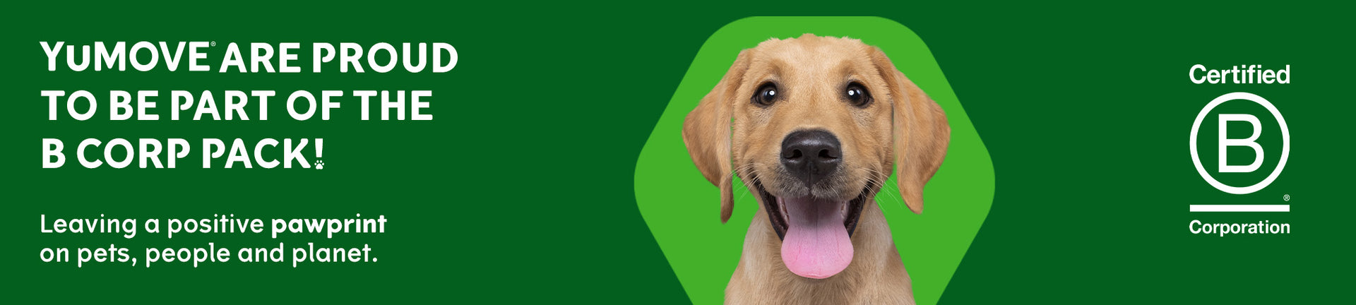 B-Corp – YuMOVE US