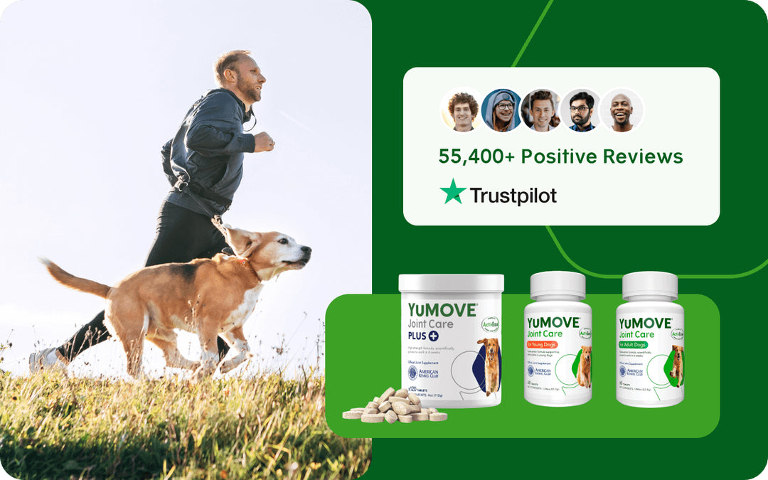 YuMOVE Joint Supplement Tablets for Dogs | Recommended by Vets*